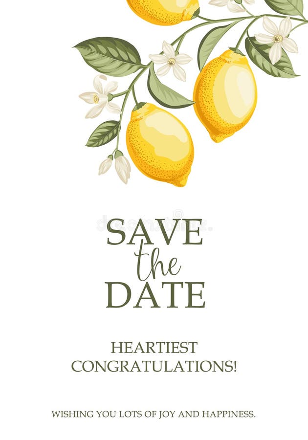 Wedding Invitation. Lemon Illustration. Hand-drawn Frame. Stock Vector ...