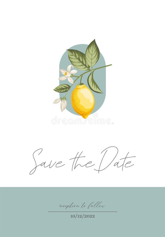 Wedding Invitation. Lemon Illustration. Hand-drawn Frame. Stock Vector ...