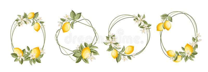 Lemon Frame Illustration. Hand-drawn Citrus. Stock Vector ...