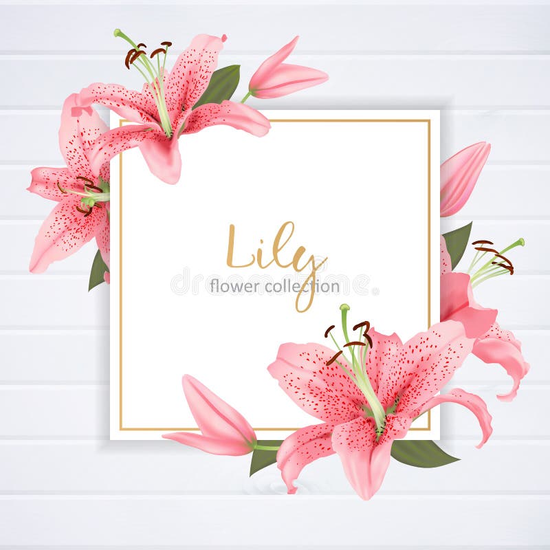 Wedding Invitation with Lily Flowers Stock Vector - Illustration of ...