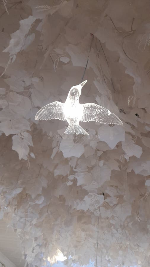 Wedding Lighfull Doves. Symbol of Love and Wedding. Stock Image - Image ...