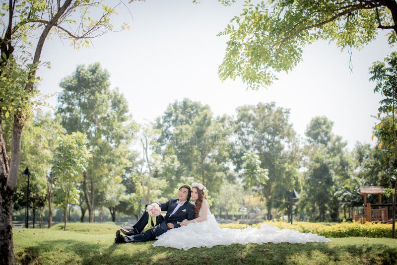 Wedding stock image. Image of feminine, couple, beautiful - 60881837