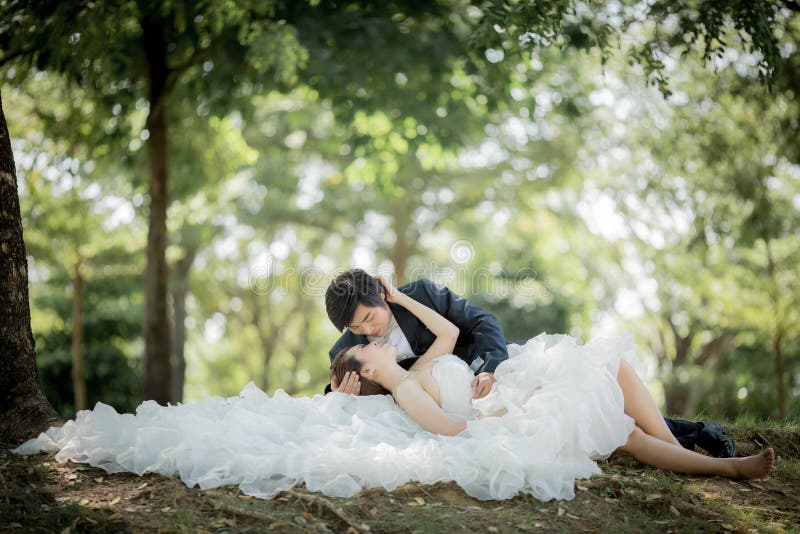 Wedding stock photo. Image of wedding, prewedding, expressive - 60888008