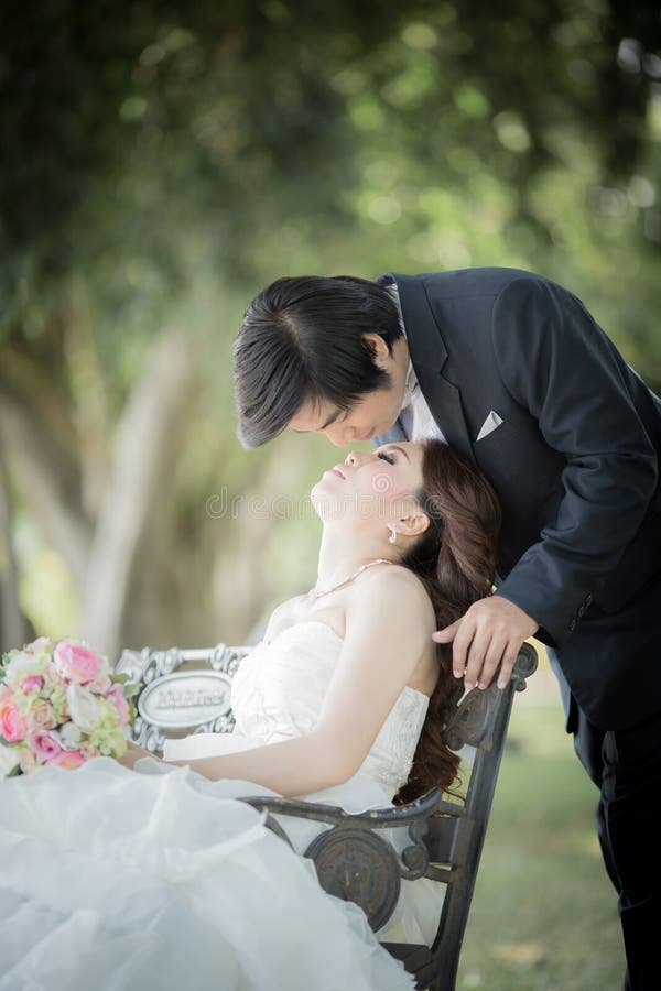 Wedding stock image. Image of wedding, forest, beauty - 60893701