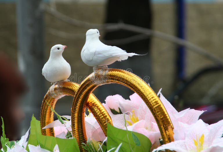 Wedding machine with dove stock image. Image of event - 4801809