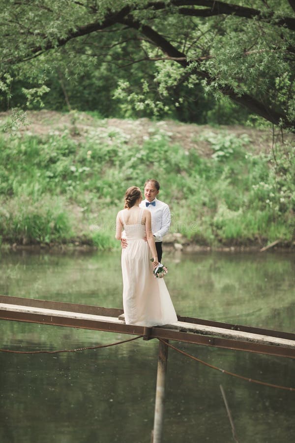 Wedding Pair Hugging and Kissing at the Bridge Stock Image - Image of ...
