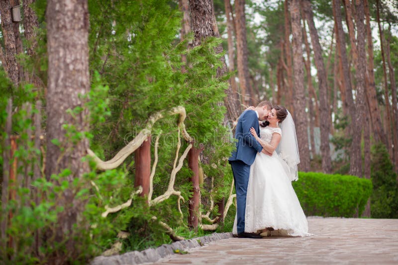 Wedding in park stock image. Image of kiss, couple, field - 55769999