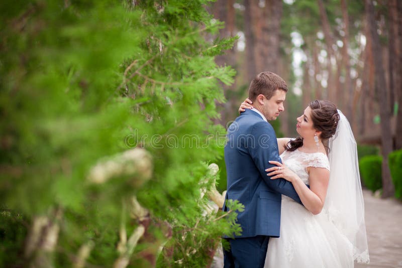Wedding in park stock image. Image of garden, family - 55770031