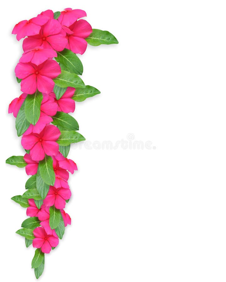 Periwinkle Flower Clipart Border