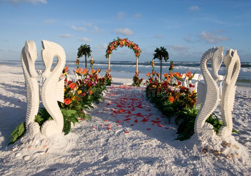 Beach Wedding Path Rose Petals Stock Photo - Image of matrimony, waves ...