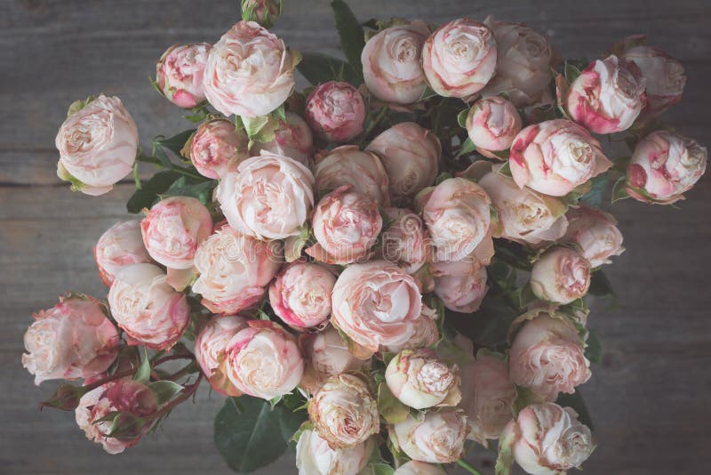 Wedding Pink Roses Bouquet Retro Style Stock Photo - Image of blossom ...