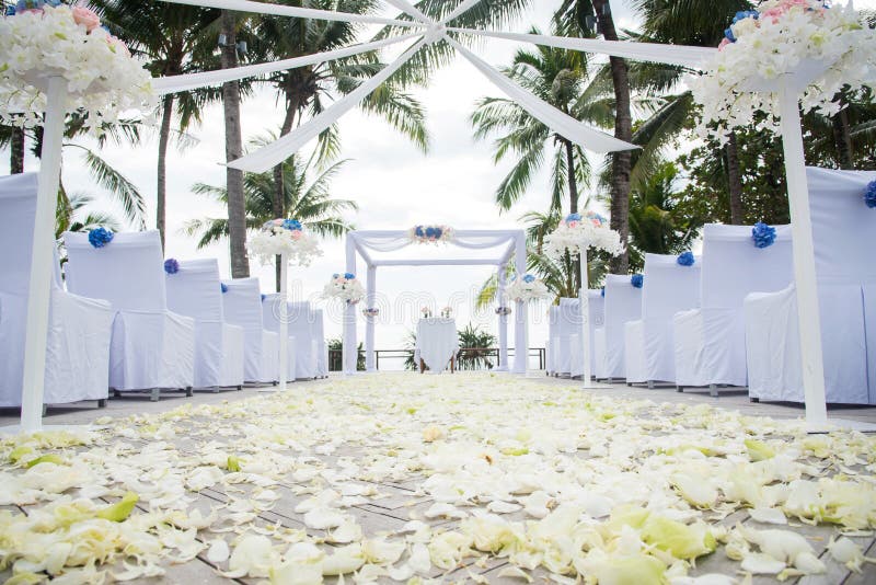 Wedding Place Under the Coconut Trees. Stock Photo - Image of abstract ...