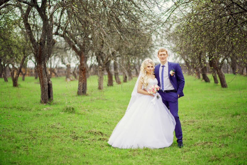 Wedding Portrait of the Bride and Groom in the Spring Garden Stock ...