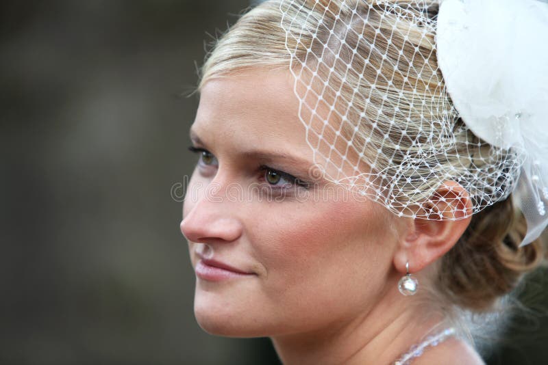 Wedding portrait net veil stock photo. Image of lady - 22272708
