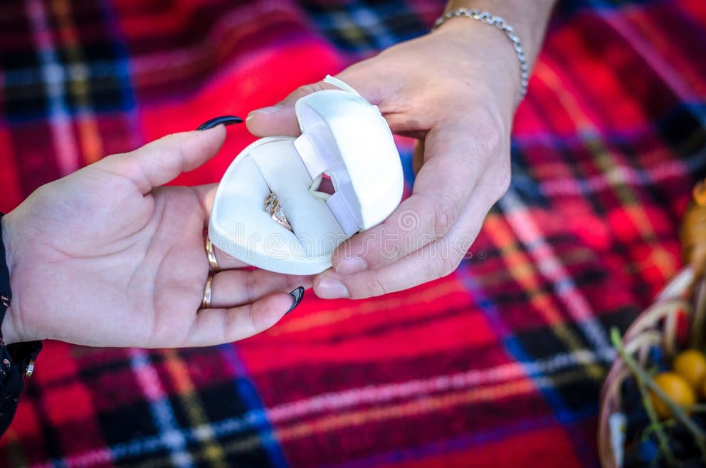 Wedding proposal with ring stock photo. Image of love - 228026930