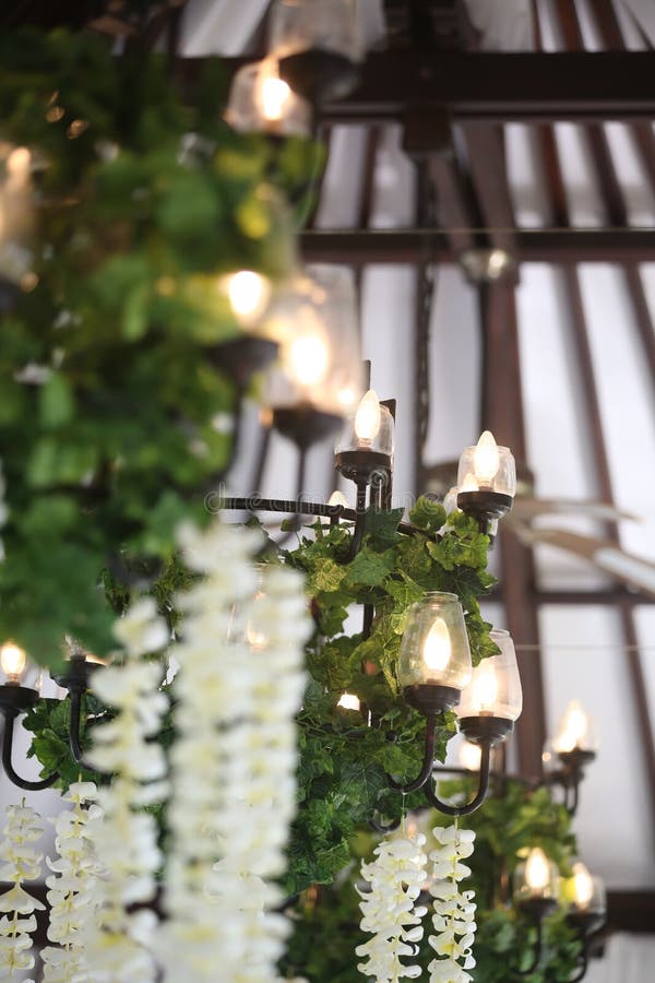 Triocean - Photographer profile