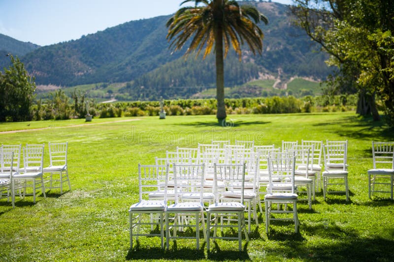 Wedding Reception in Nature Stock Image - Image of green, luxury: 30803583