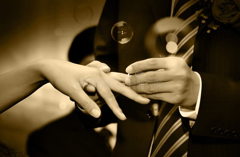 Wedding couple stock image. Image of posing, husband - 21448291