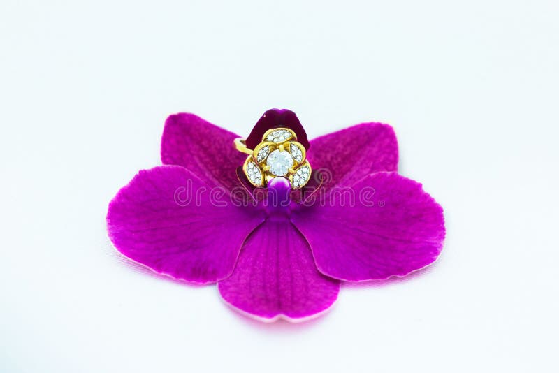 Wedding ring of orchids stock photo. Image of jewelry - 43236440