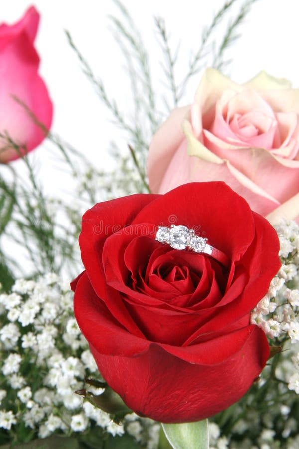 Ring in Rose stock image. Image of jewel, flowers, closeup - 2547697