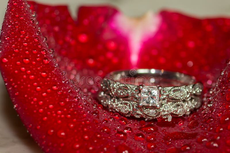 Wedding Ring and Red Roses stock photo. Image of bride - 57412586