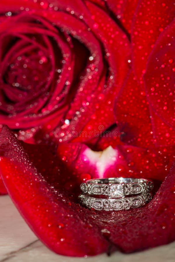 Wedding Ring and Red Roses stock image. Image of fancy - 57412671