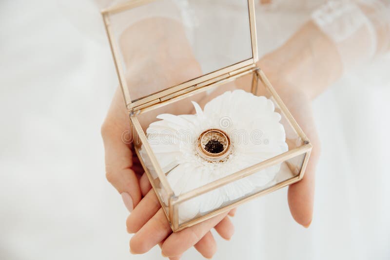 Wedding Ring Rings in a Box Stock Photo - Image of soft, gift: 194293888