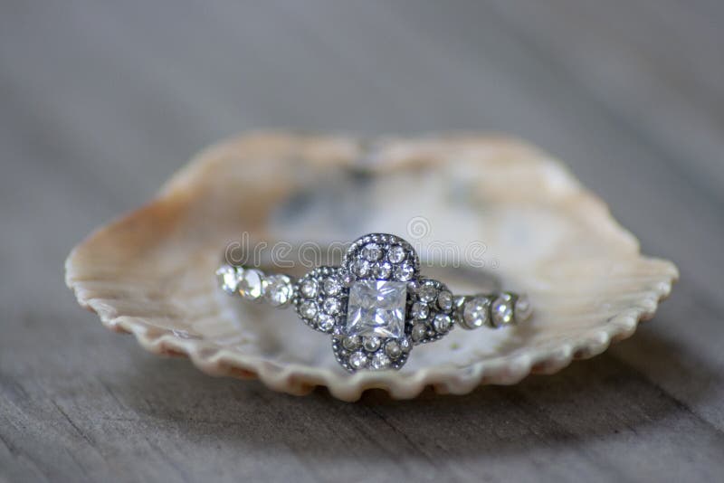 Wedding Ring on Seashell stock photo. Image of wood - 119728190