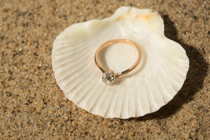 Wedding ring in a shell stock photo. Image of pair, marriage - 66936020