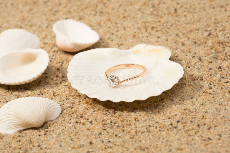 Wedding ring in a shell stock image. Image of ceremony - 66936049