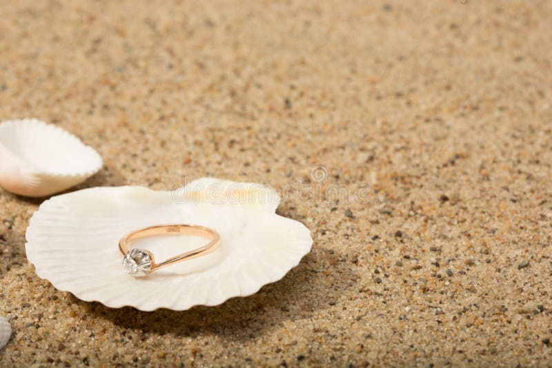 Wedding ring in a shell stock photo. Image of sand, decoration - 66936050