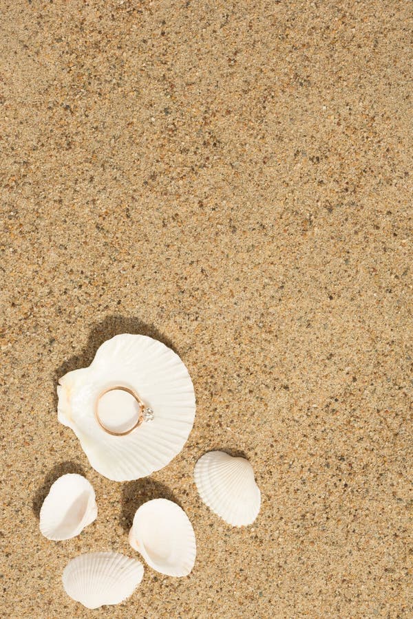 Wedding ring in a shell stock image. Image of nature - 66936099