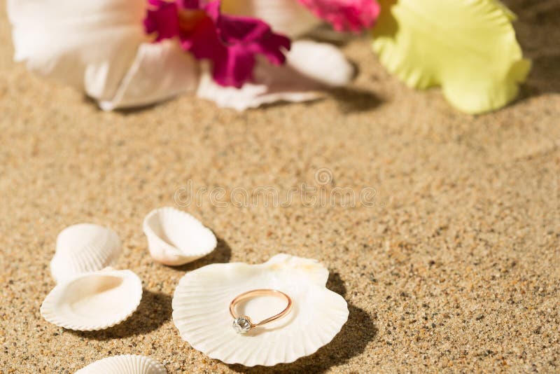 Wedding ring in a shell stock image. Image of closeup - 66936233