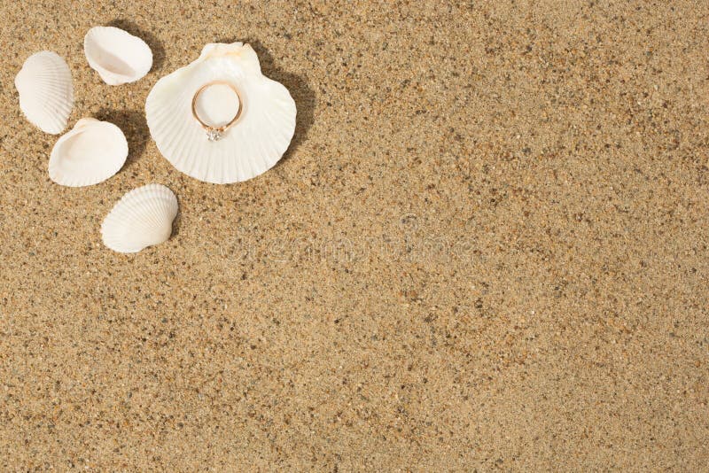 Wedding ring in a shell stock photo. Image of marine - 66936296