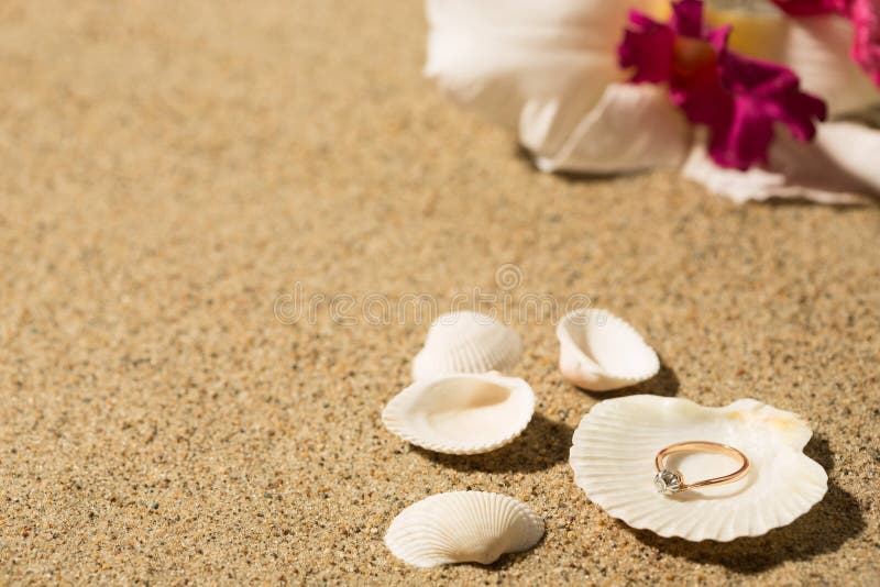 Wedding ring in a shell stock image. Image of romance - 66936369