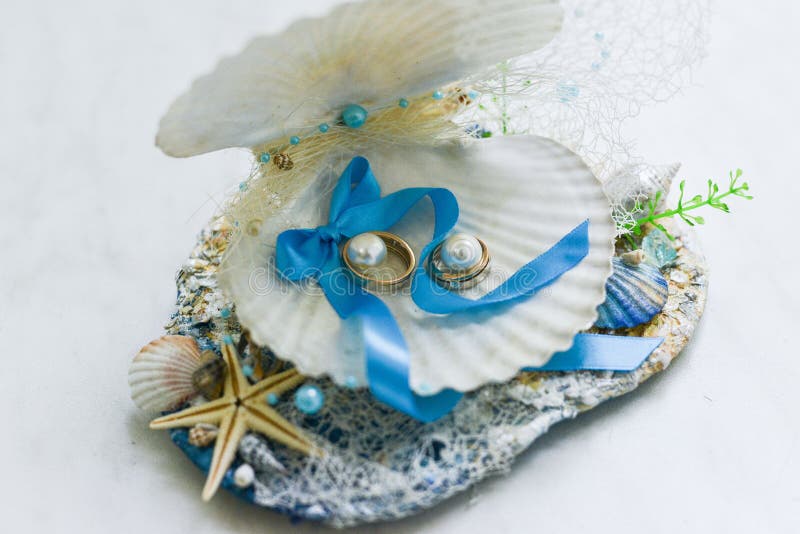 Wedding ring in a shell stock photo. Image of couple - 73208302