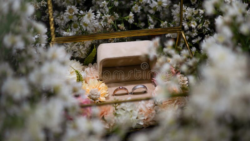 Wedding ring stock image. Image of promise, ring, pledge - 264619059