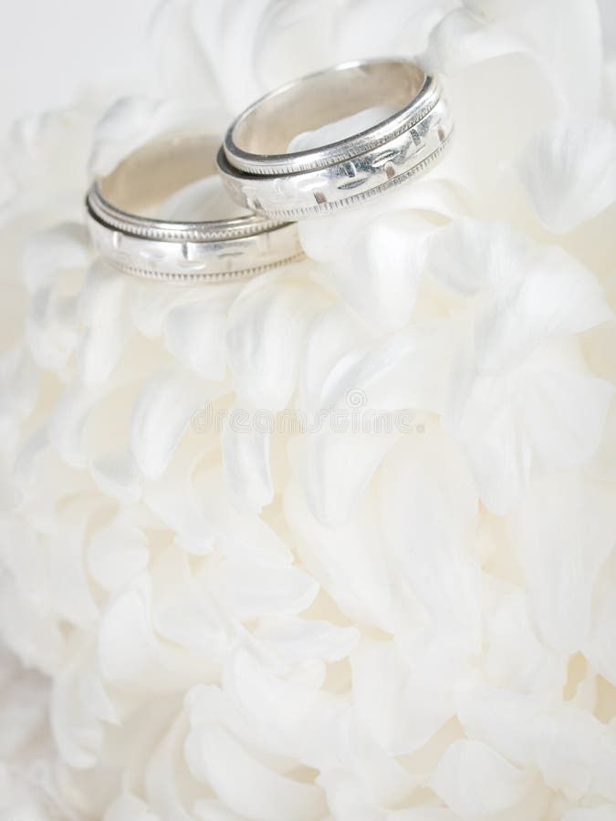 Two Wedding Rings in Ribbon on Pillow Stock Image - Image of golden ...