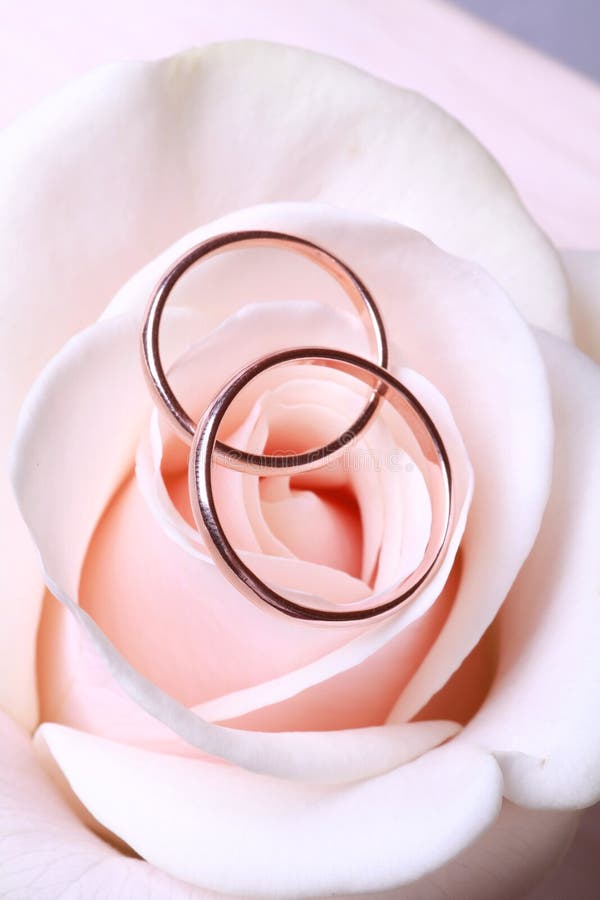 Wedding rings stock image. Image of love, couple, gold - 17692103