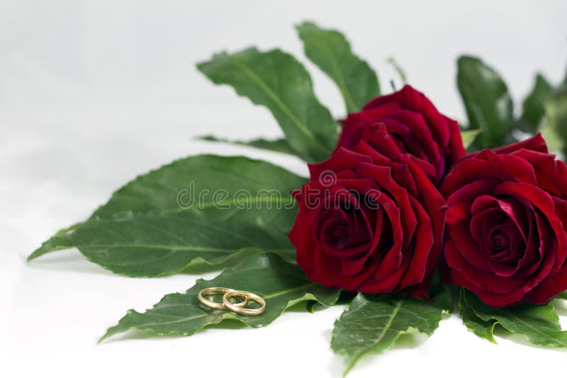 Wedding Gold frame stock image. Image of rings, artistic - 15318239