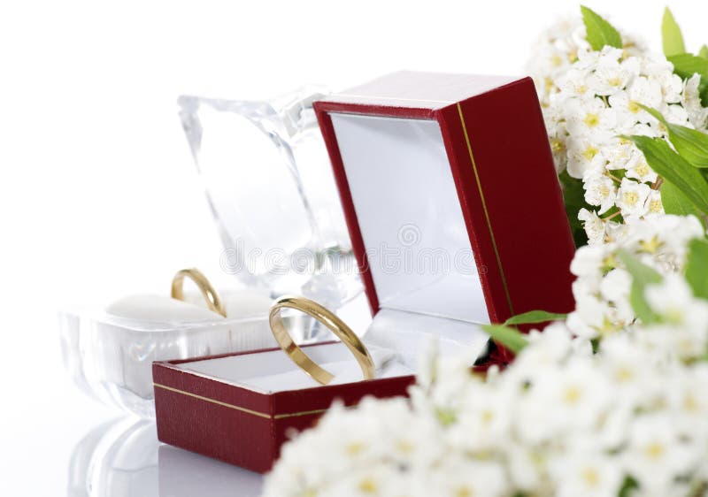 Wedding rings stock photo. Image of beauty, white, transparent - 19486986