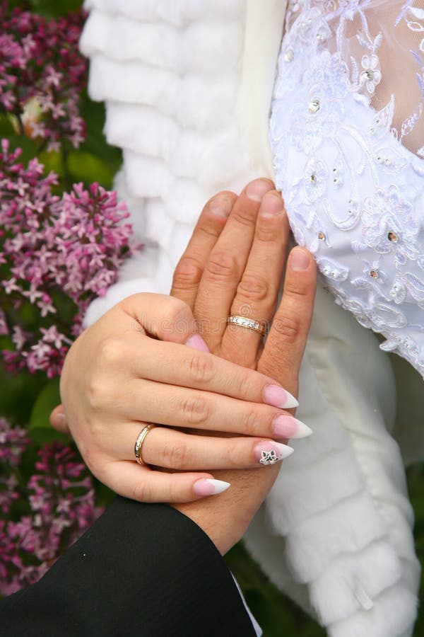 Wedding rings stock photo. Image of married, marriage - 21546514