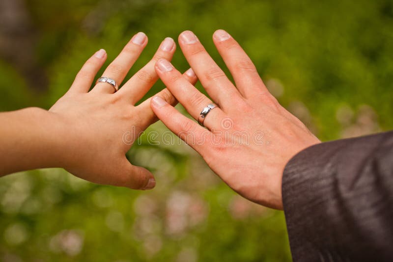 Wedding proposal stock photo. Image of proposal, hand - 2725036