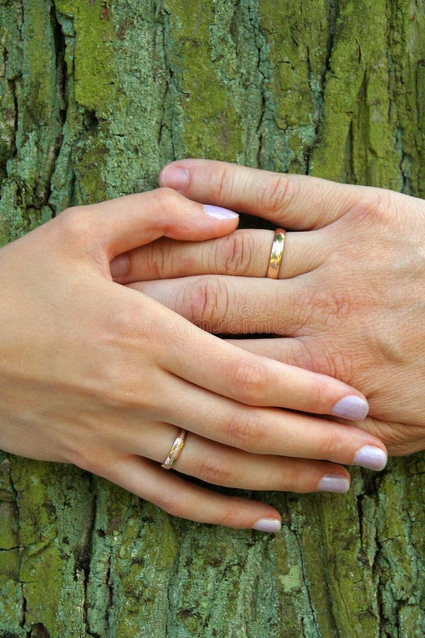 8,918 Two Hands Wedding Rings Stock Photos - Free & Royalty-Free Stock ...