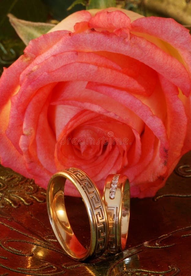 Three Pink Roses and Wedding Rings Reflected in Black Surface Stock ...