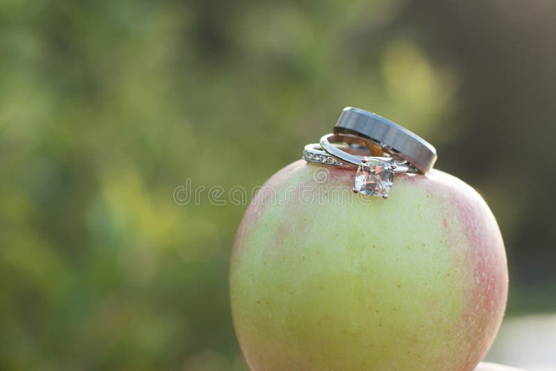 Wedding Rings on an Apple stock image. Image of bling - 65578923