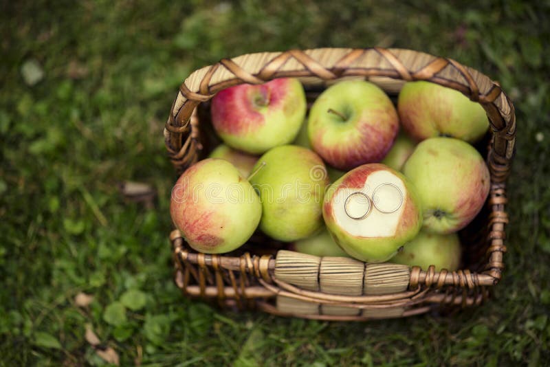 Wedding rings on apples stock photo. Image of apple, relationship ...