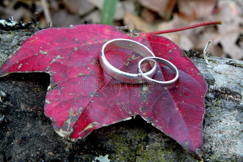 Wedding Rings on an Autumn Leaf Stock Image - Image of wife, round ...