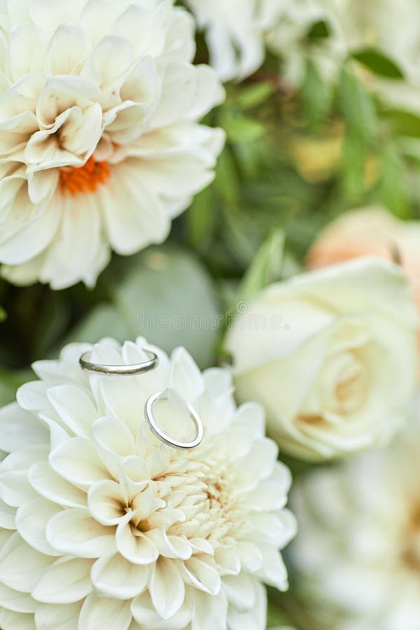 Wedding Rings and Beautiful Flower Bouquet Stock Image - Image of ...