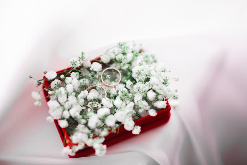 Wedding Rings on a Beautiful White Flowers Stock Image - Image of ...